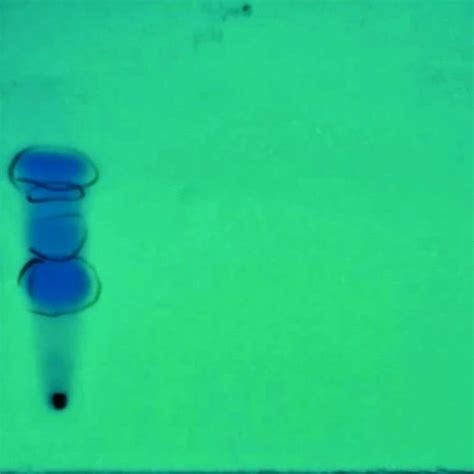 Himadri Saha Posted On Linkedin