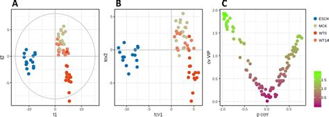 A Pls Da Score Plot For The Four Groups Of Samples Analyzed By The