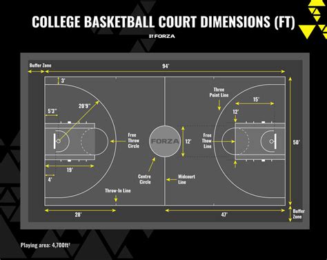 Basketball Half Court Dimensions In Meters