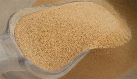 Flush Yeast Septic Tank ~ Septic Guide