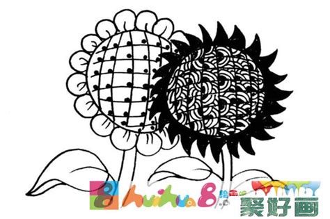 一组向日葵简笔画图片素材怎么画简笔画教程 加加色