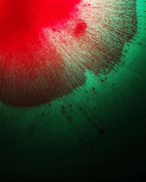 SlØr Visual Performance Added A SlØr Visual Performance