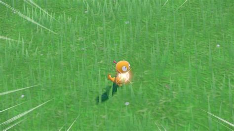 That Was Quick Lol Rpokemonscarletviolet That Was Quick Lol Rpokemonscarletviolet