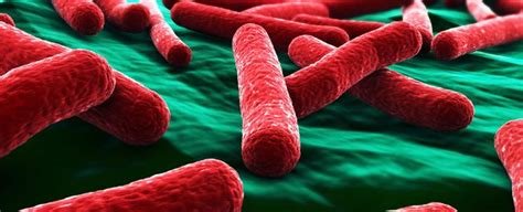 Real Time Bioinformatics With Nextflow And Kraken2 Epi2me Blog