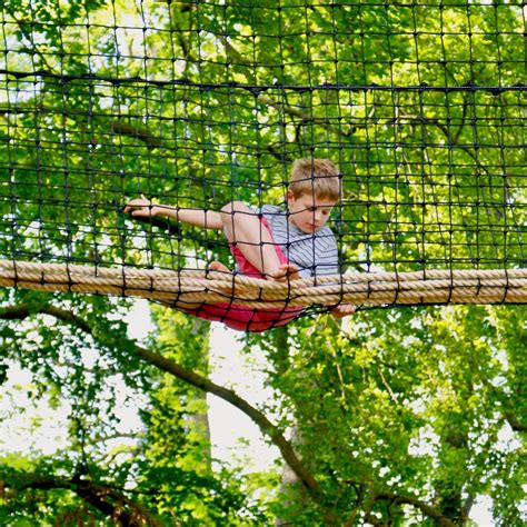 Treehouses Rope Bridges Treetop Walkways And Nest Swings