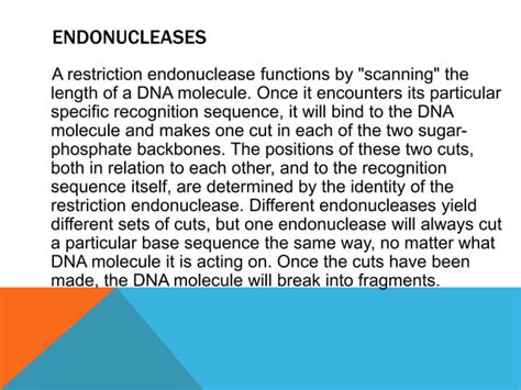 Nucleases Pptx