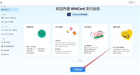 Wildcard使用教程？如何用wildcard订阅国外服务？wildcard保姆级教程 扑扑特桔