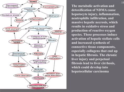 Histamine As A Cns Neurotransmitter Pptx