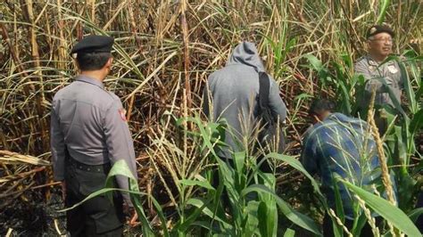 Diduga Korban Perkosaan Wanita Muda Ditemukan Tewas Telanjang Dijerat Tali Bh Tribunnews Com