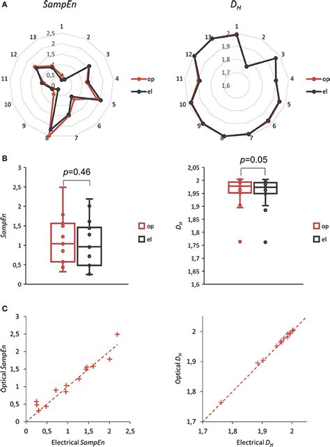 Frontiers Sinoatrial Beat To Beat Variability Assessed By Contraction