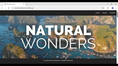 Reactjs Parallaxeffect Css Bootstrap Reactrouter Webdevelopment