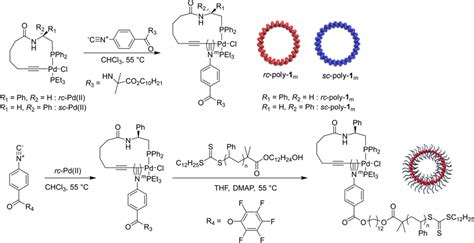 Synthesis Of Cyclic Polymer And Cyclic Polymer Brush Reproduced From Download Scientific