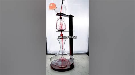 포도를 발로 밟는 이유 Youtube