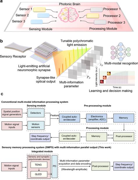 schematic diagram of the photonic brain and the smps a a “photonic