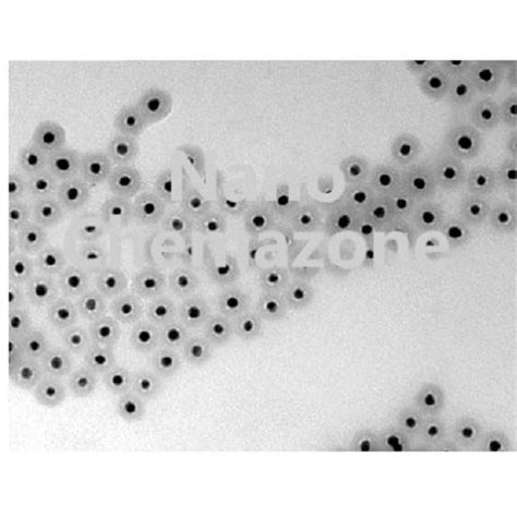 Au Tio2 Core Shell Nanoparticles At ₹ 1650 Gram Dispersion Nano And Micro In Kaithal Id