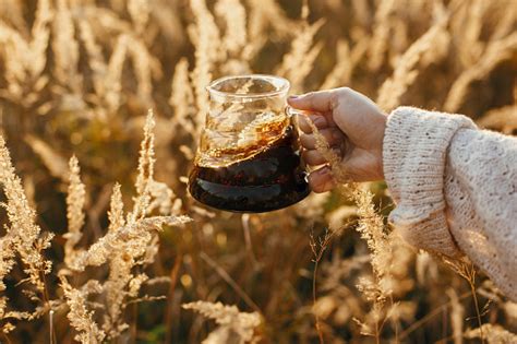 시골 허브의 햇볕이 잘 드는 따뜻한 빛을 배경으로 유리 플라스크에 신선한 뜨거운 커피를 들고있는 여행자 여행 중 야외에서 커피를 양조하는 대체 커피 대기 소박한 조용한 순간