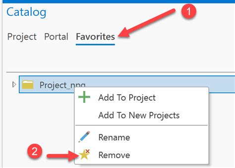 Solved Arcgis Pro 25 How To Remove The Added Folders By Esri