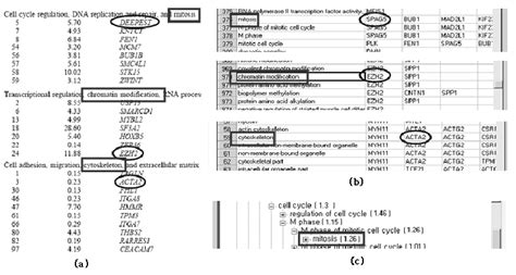 functional analysis results download scientific diagram