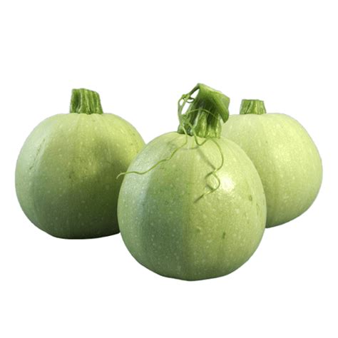 Fresh Tindi 250g Sira Cash And Carry