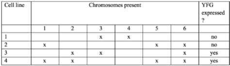 Exam 2 Practice Quiz Flashcards Quizlet