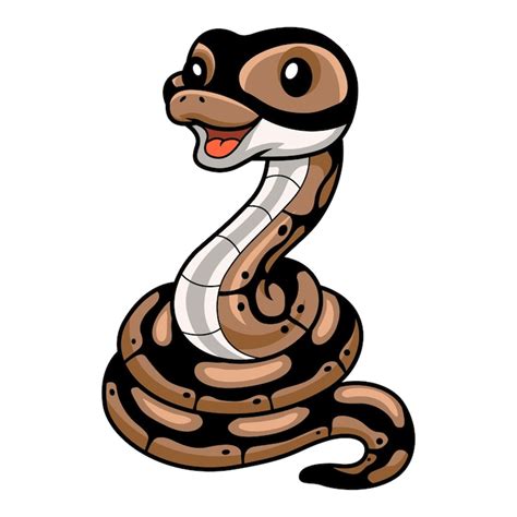 Premium Vector Cute Ball Python Snake Cartoon