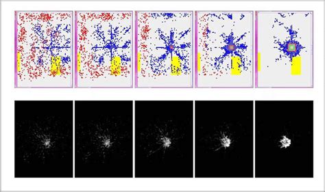 Verification Of The Aggregation Phase Download Scientific Diagram