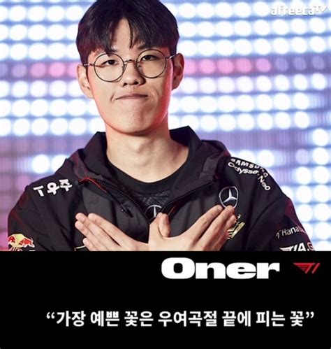 [t1]티원의 올 한해를 요약하는 짤  롤 리그 오브 레전드 에펨코리아