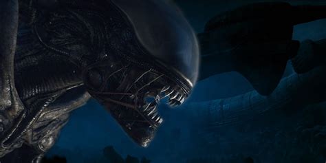 The Alien Saga A Journey Through The Xenomorph Universe