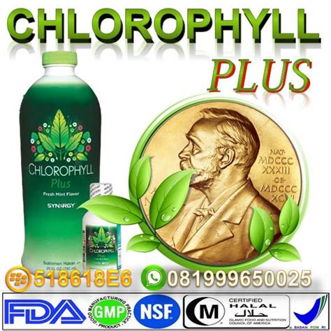 Liquid Chlorophyll Plus Produk Synergy Worldwide Indonesia