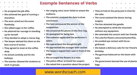 20 Example Sentences Of Verbs Word Coach