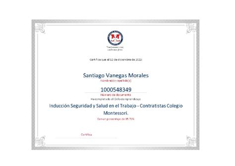 Santiago Vanegas Morales Inducción Seguridad Y Salud En El Trabajo