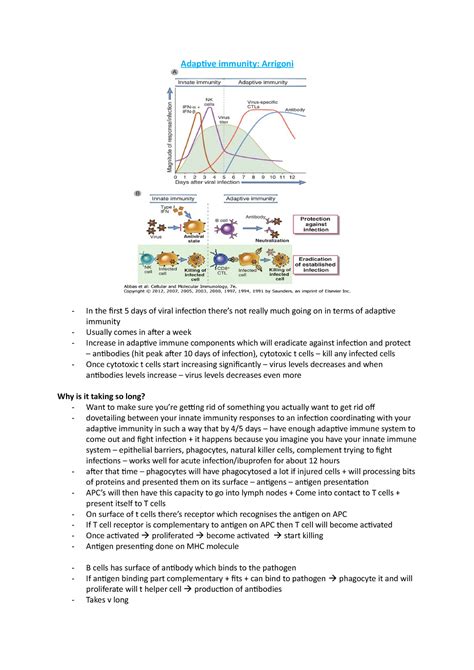 Adaptive Immunity In Depth Notes PY KUL Studocu