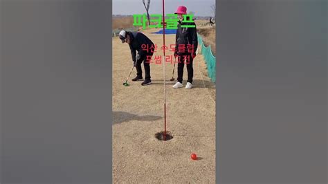 파크골프 묘미 버디👍 포썸리그전 세팀이 모두 참 잘하시네요👏~👏~👏 Youtube