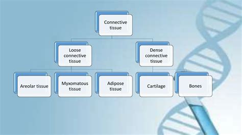 Tissues Slideshare Pptx