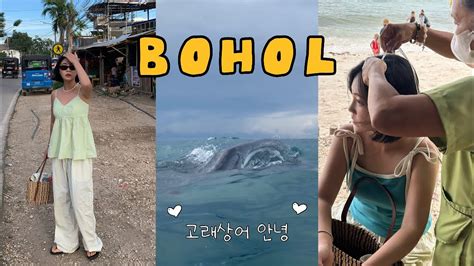 보홀 여행브이로그 Ep2 🇵🇭 고래상어투어 알로나비치 머리땋기 졸리비 할로망고 레드크랩 밤부 보홀핫플 Youtube