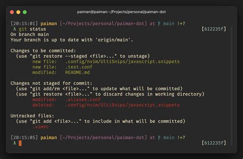 github paimanbandi lambda p lambda p zsh theme