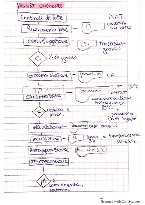 Diagrammi Di Flusso Schemi E Mappe Concettuali Di Trasformazione