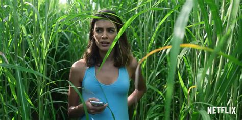 Tall Grass Stephen King Ending Explained