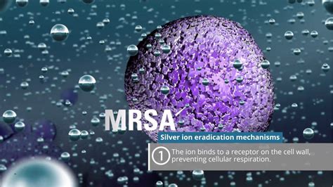 Silverlon Lifesaver Kikgel