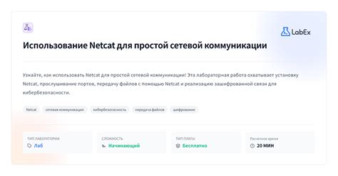 Использование Netcat для простой сетевой коммуникации Labex