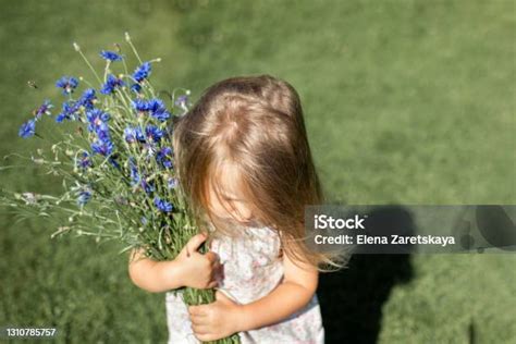 길고 흐르는 금발 머리를 가진 어린 소녀는 선물로 야생화의 큰 꽃다발을 운반합니다 부드러운 사진 여름 분위기 사람들에 대한 스톡 사진 및 기타 이미지 Istock