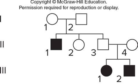Genetics Exam Quiz And Class Questions Flashcards Quizlet