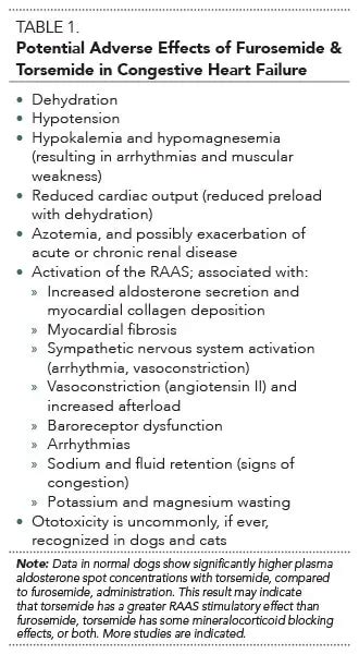 Furosemide Application Contraindications Substitutes Side Effects