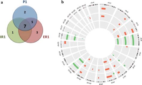 copy number variants cnvs detected by comparative genomic