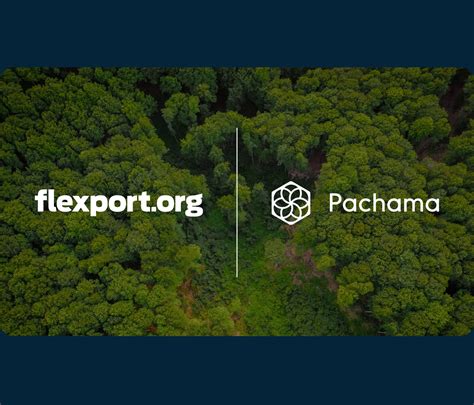carbon offset offerings and specific programs flexport