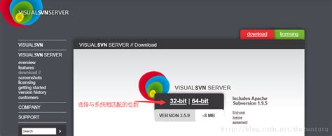 windows下本地或局域网下搭建svn服务器 同局域网下连svn csdn博客