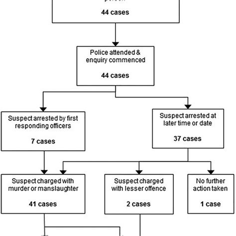 Process Flow Chart For Forensic Science Services In Tanzania And The Download Scientific