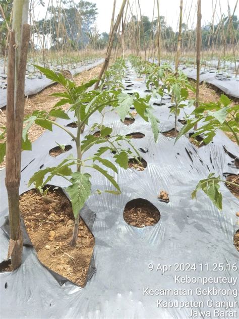 Muhammad Khoirudin On Linkedin Semoga