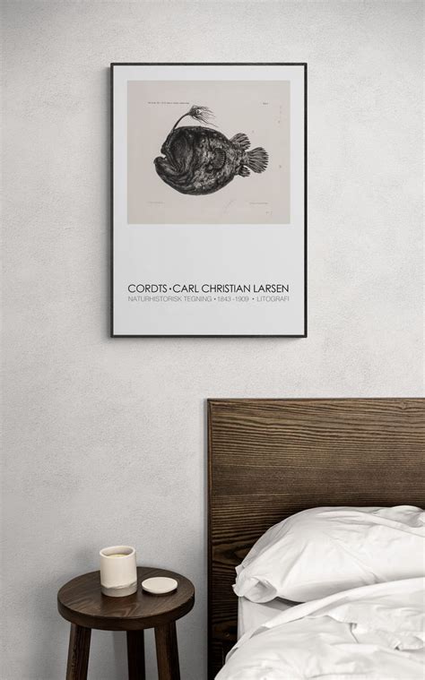 Larsen Carl Christian Larsen Naturhistorisk Tegning Cordts